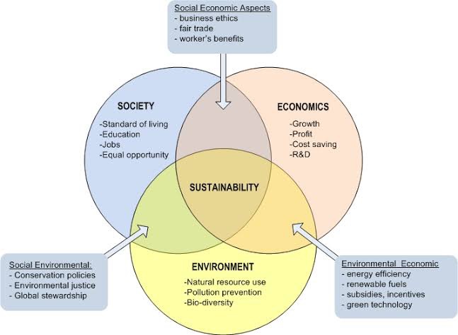 What is Sustainability? – ASHLESHADESAIGNS